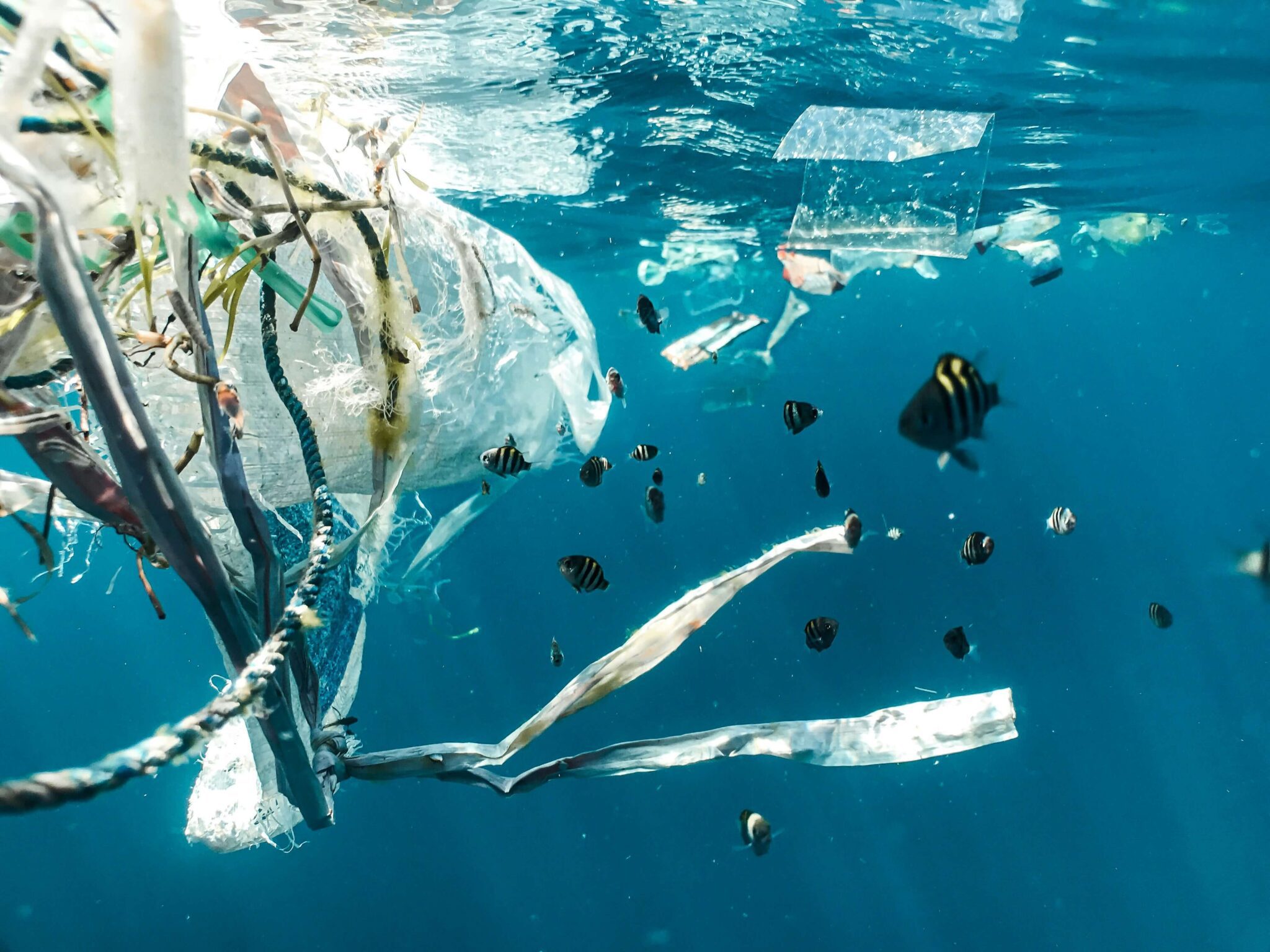 Up, Up, and Away? The Environmental Impact of Party Balloons